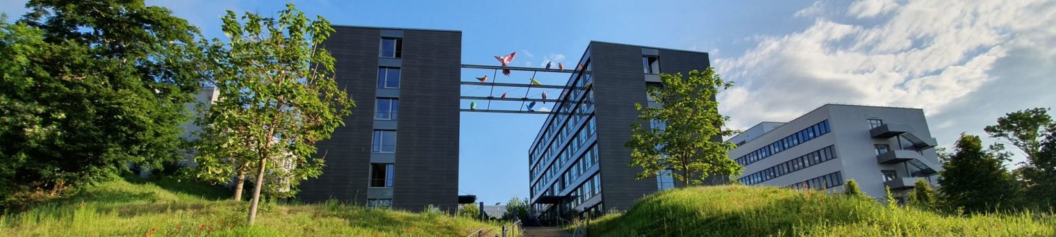 Prof. Dr. Jürgen Roth – Didaktik der Mathematik